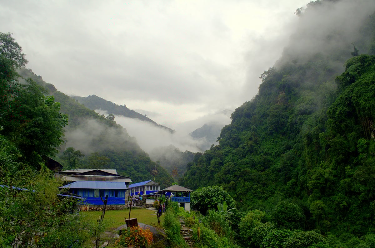 ১০ ছবিতে দেখুন হিমালয়ের প্রকৃতি ও জীবন | প্রথম আলো