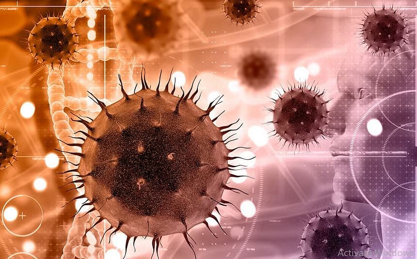 Zika virus cluster identified, 5 infected in country | Prothom Alo