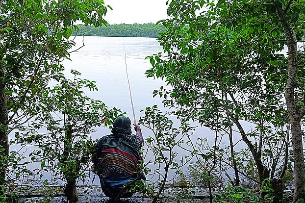 Many people cast fishing rods in the Sundarbans’ rivers to catch fish ...