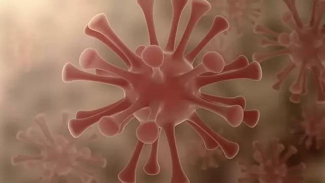 Imports fall, exports falter | Prothom Alo