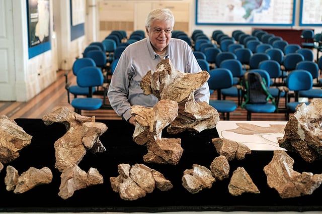 Brazil's biggest dinosaur fossil found | Prothom Alo