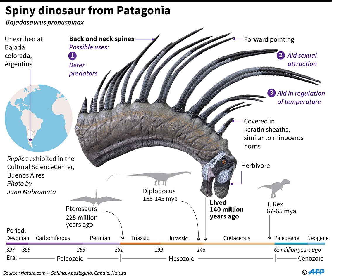Dinosaur that defended with spiny spine found | Prothom Alo