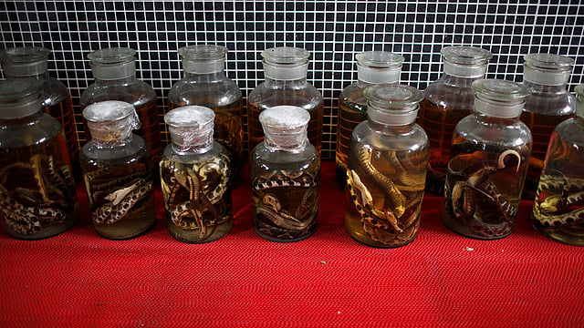 China 'comprehensively bans' wildlife trade | Prothom Alo
